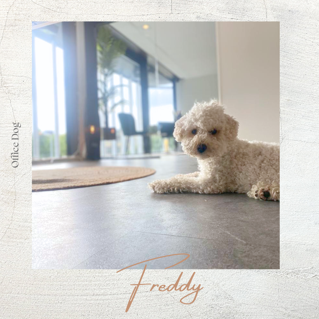 Chapeau Team | Chapeau